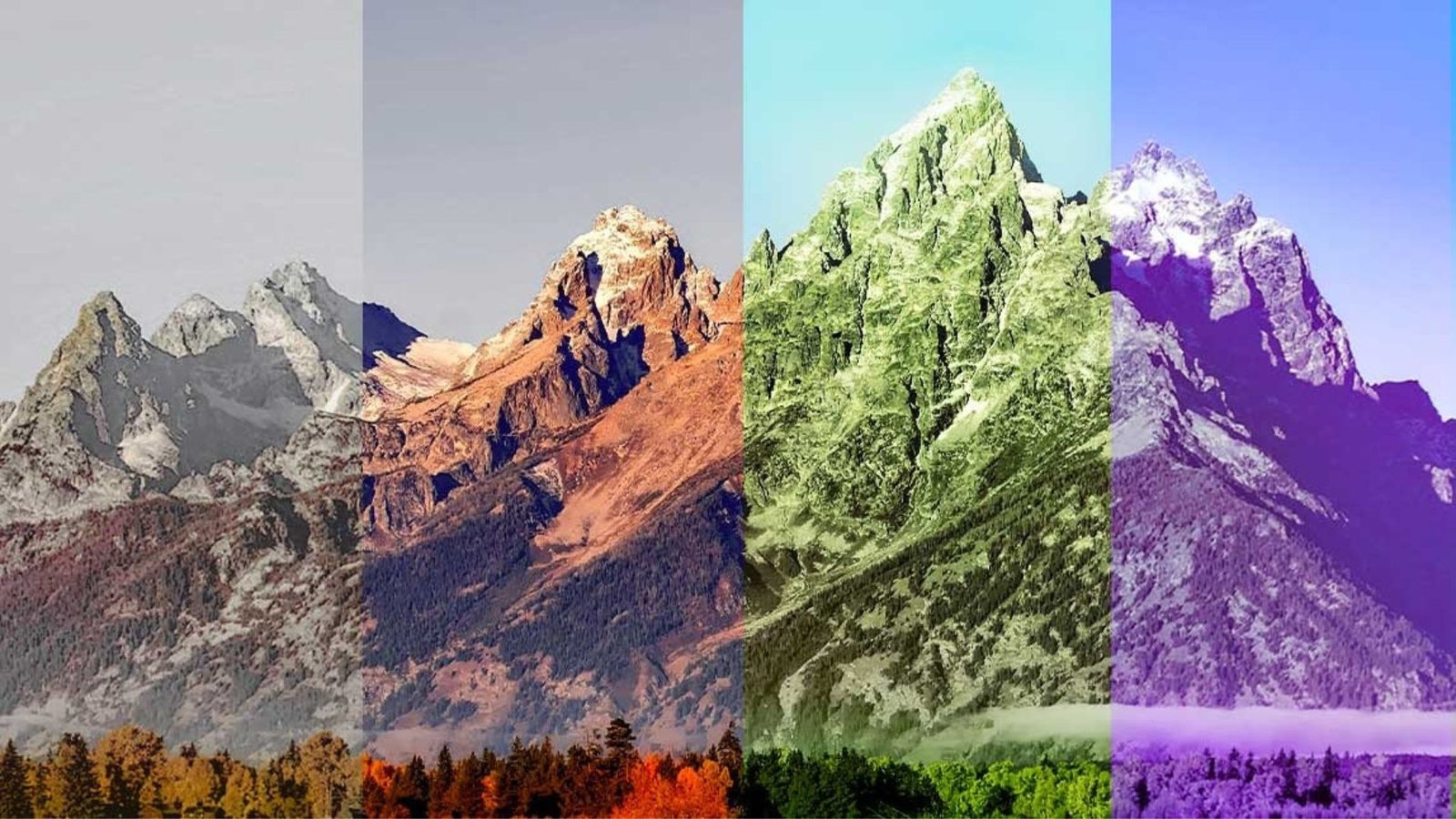 Tips for Enhancing Colors in Photography Editing - Donavan Freberg